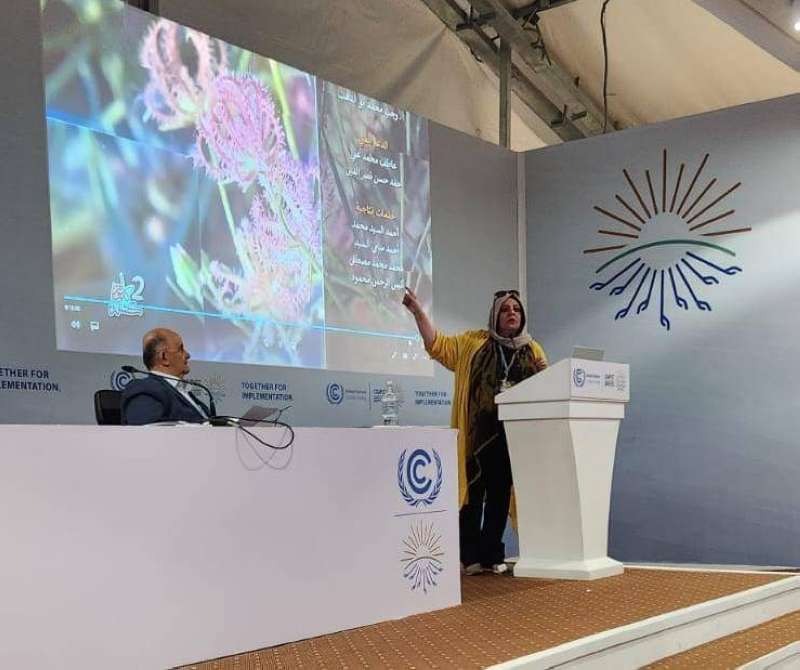 الجمعية الكويتية لحماية البيئة تشارك في قمة المناخ «Cop27» بصفة مراقب ...